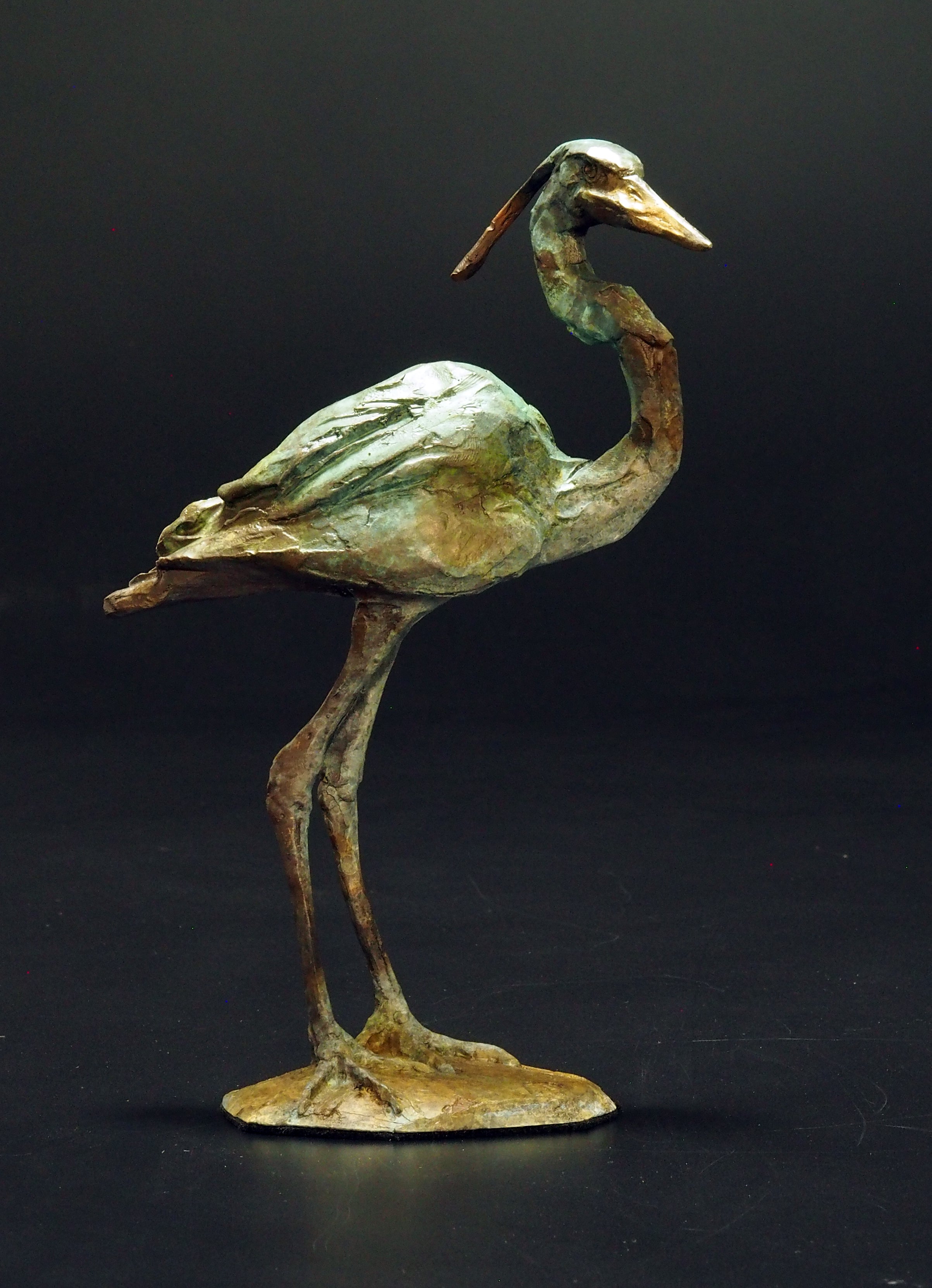 Accept – Dan Chen - Nature and Wildlife Artist