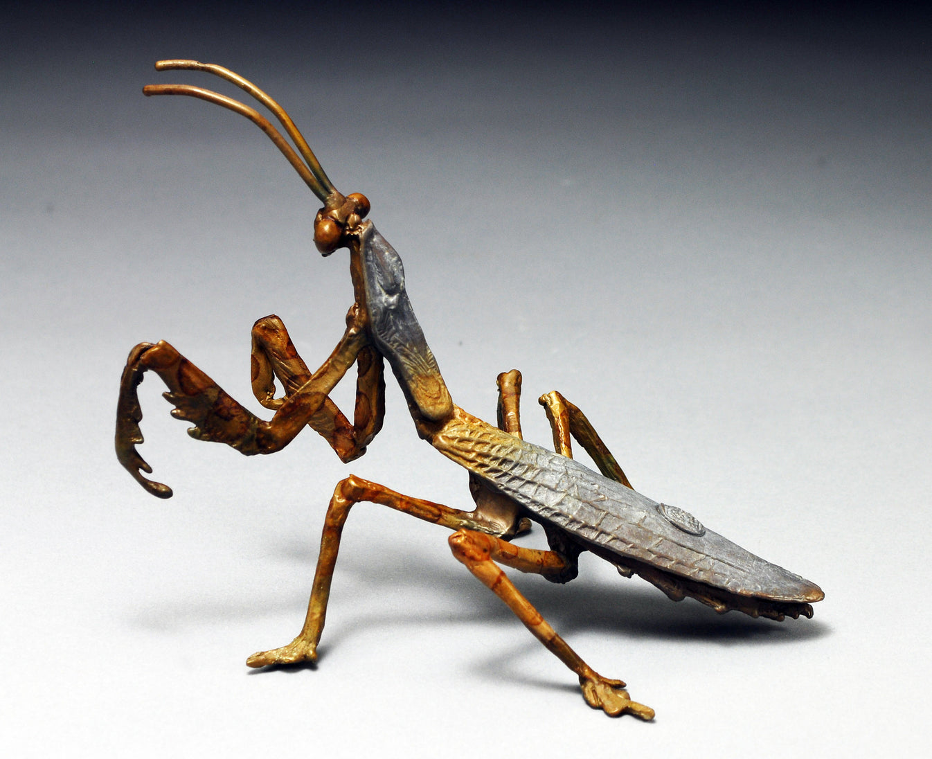 Praying Mantis – Dan Chen - Nature and Wildlife Artist