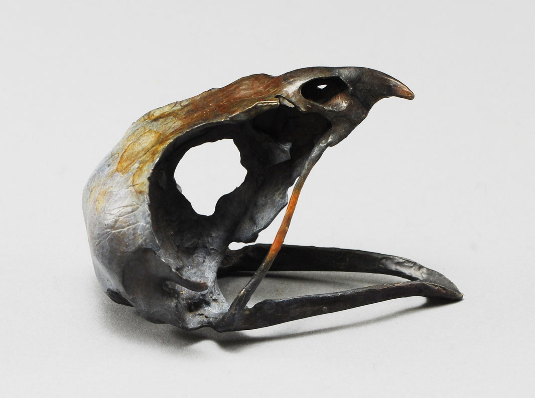 Skulls – Dan Chen - Nature and Wildlife Artist