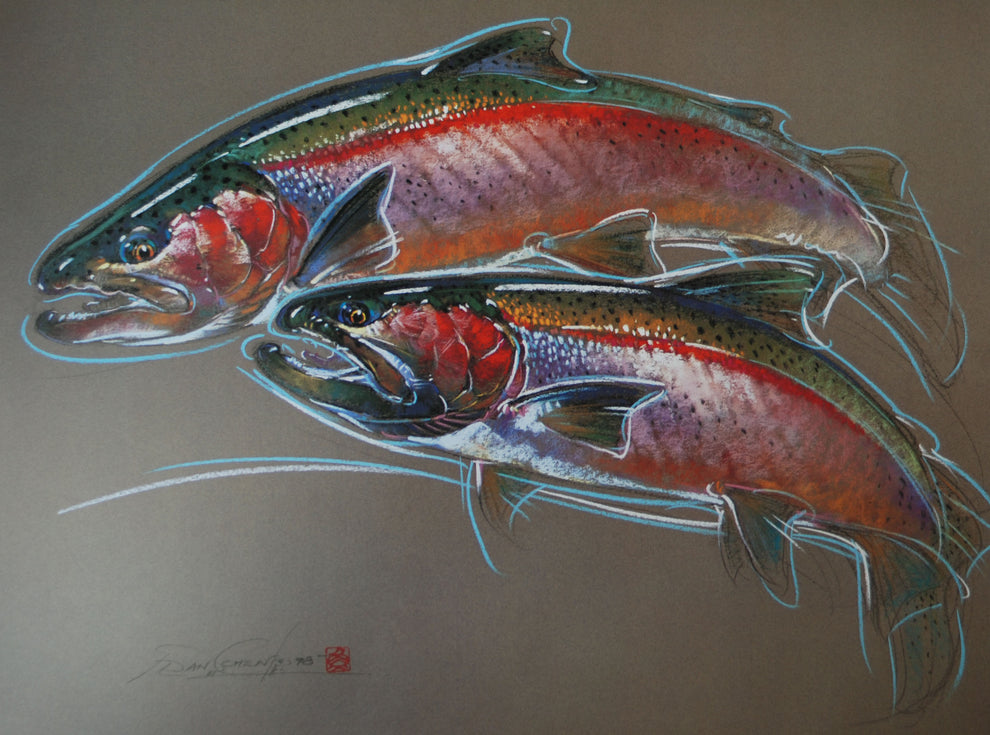 Steelhead – Print of Pastel Drawing – Dan Chen - Nature and Wildlife Artist